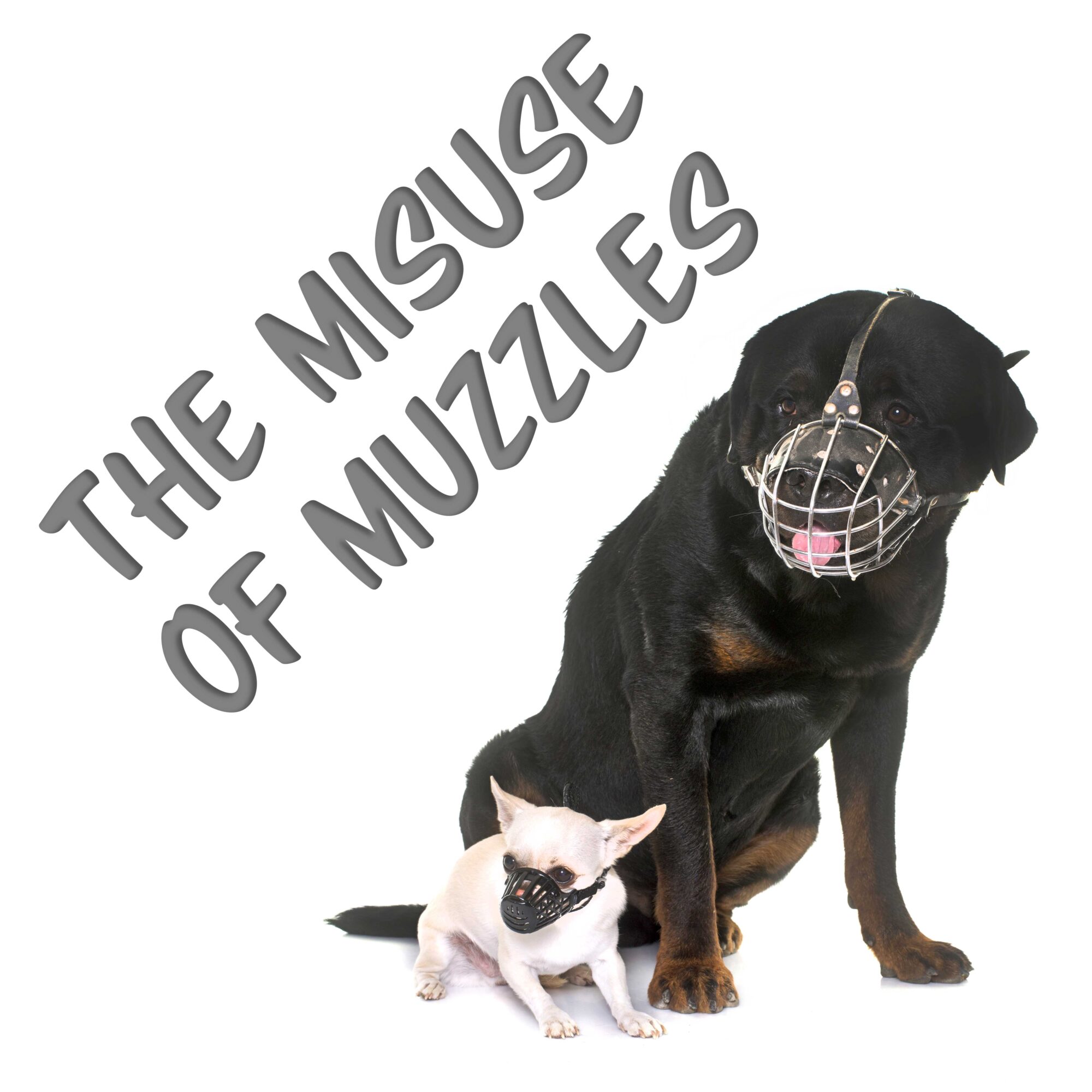 The Misuse of Muzzles – Dogmantics Dog Training