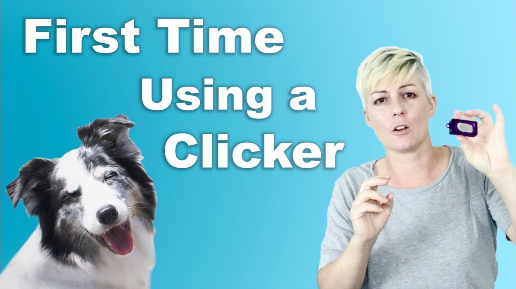 Getting Started Clicker Training – Dogmantics Dog Training